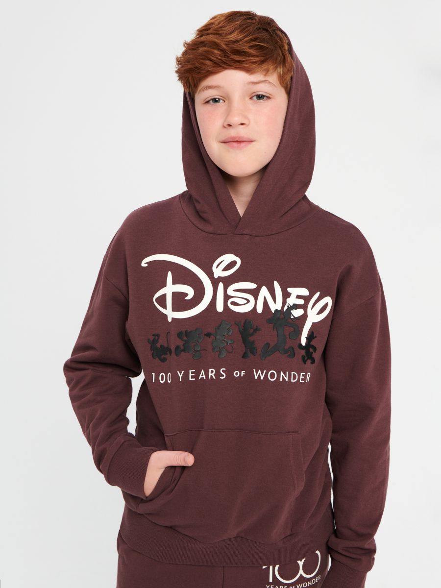 Disney 100 Years of Wonder - SINSAY