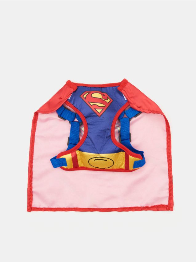 Costume cane Superman Colore multicolor - SINSAY - 019BV-MLC