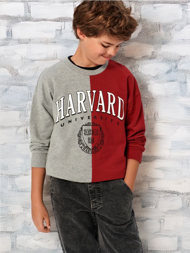 Bluza Harvard Kolor wielobarwny - SINSAY - 4631R-MLC