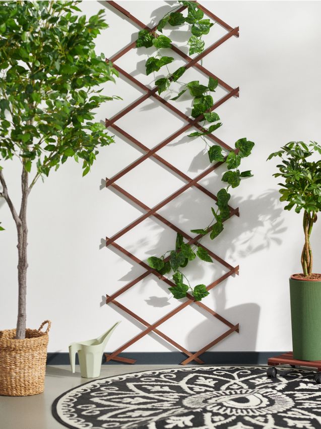 Spalier pentru plante Culoare maro - SINSAY - 564CL-88X