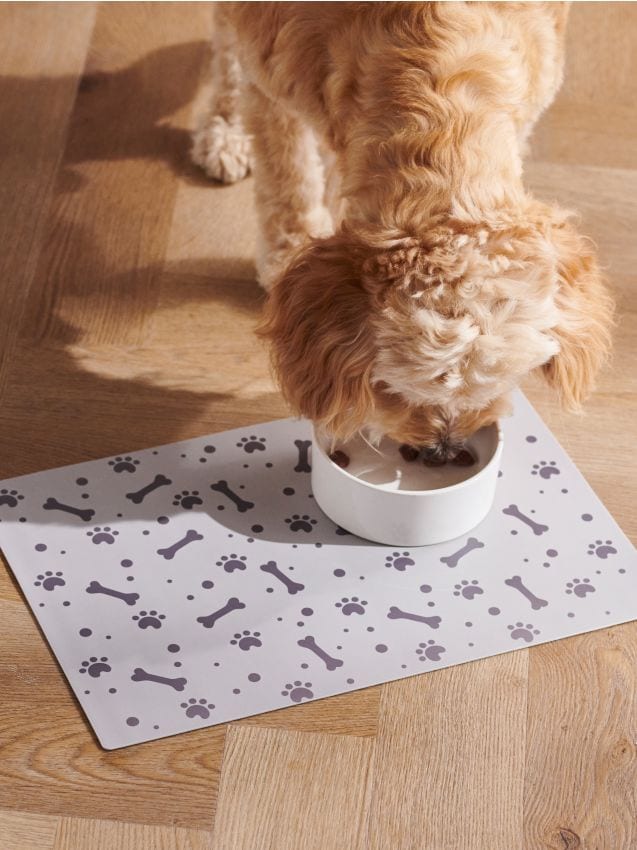 Pet mat Color light grey - SINSAY - 7874P-09X