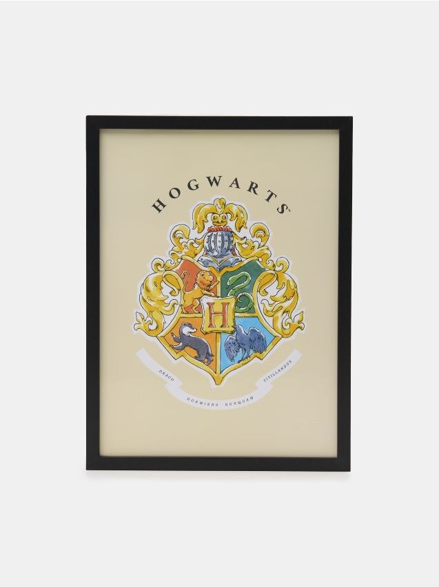 Poster Harry Potter Color multicolor - SINSAY - 788BO-MLC