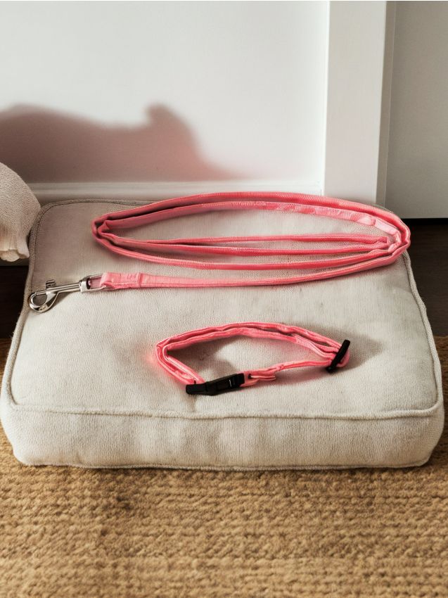 Set: zgardă și lesă pentru câine Culoare roz-pastel - SINSAY - 955FU-03X